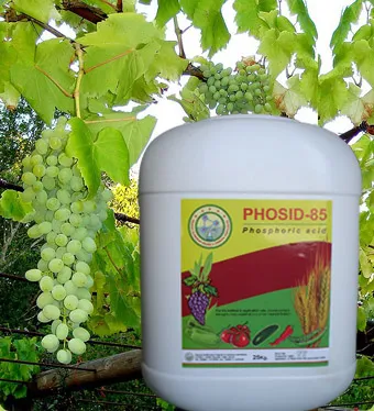 سماد فوسيد 85 فوسفاتي مركز لتعزيز الجذور والتزهير